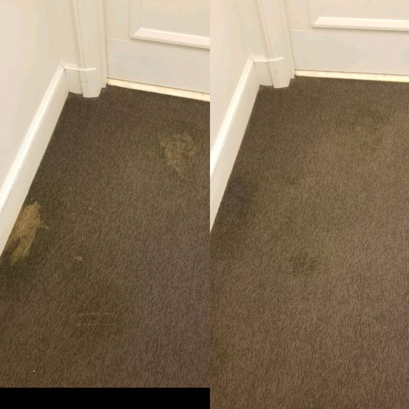 Carpet Color Repair in Vero Beach, Fort Pierce | Executive Floor Care