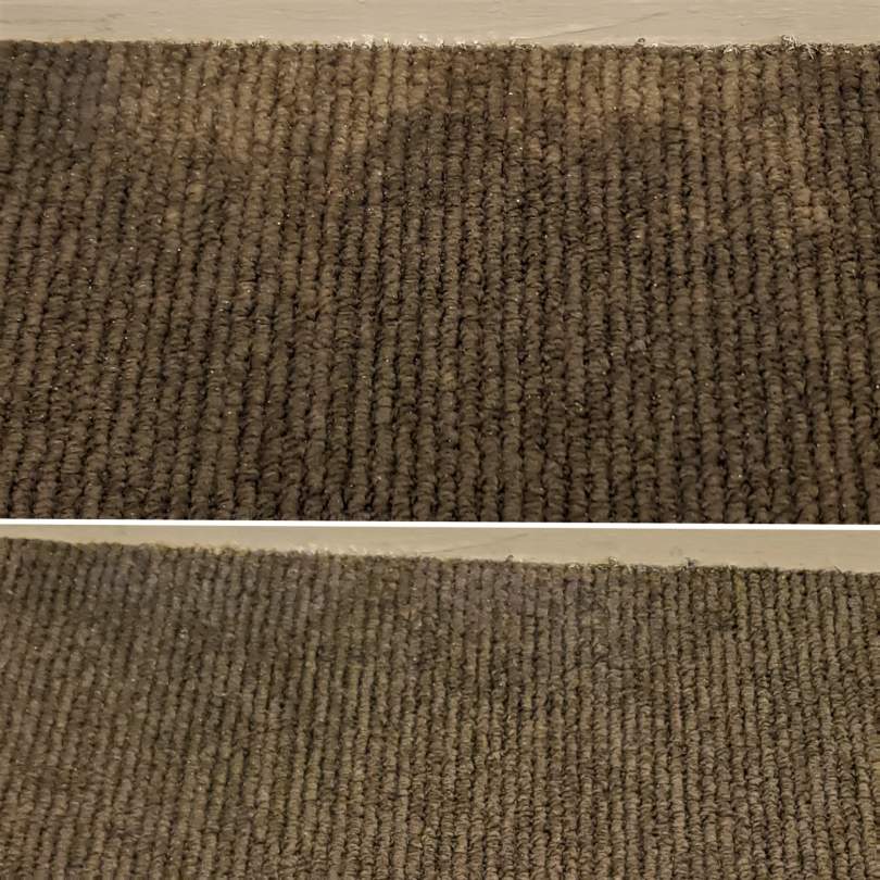 Carpet Color Repair in Vero Beach, Fort Pierce | Executive Floor Care